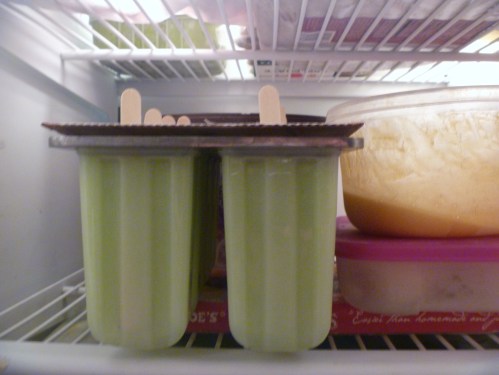Paletas | Agrigirl's Blog
